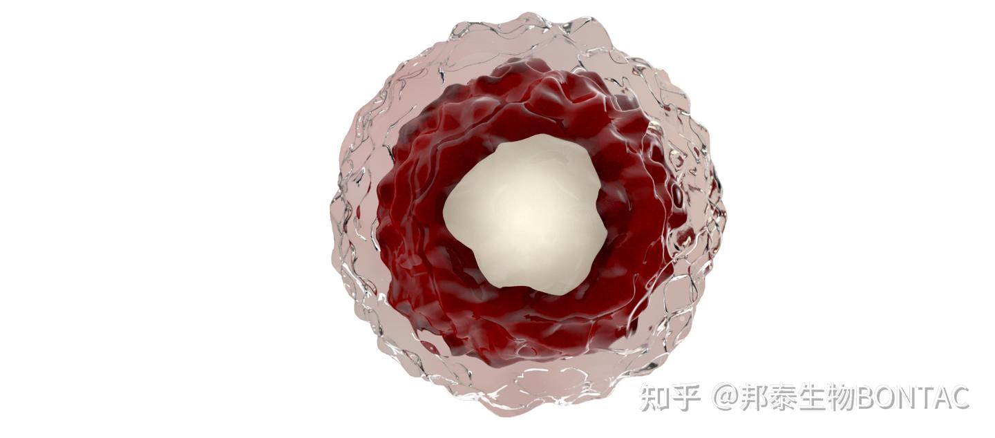 长达55页！关于NADH：这篇新文献综述说透了，值得收藏！ - 知乎