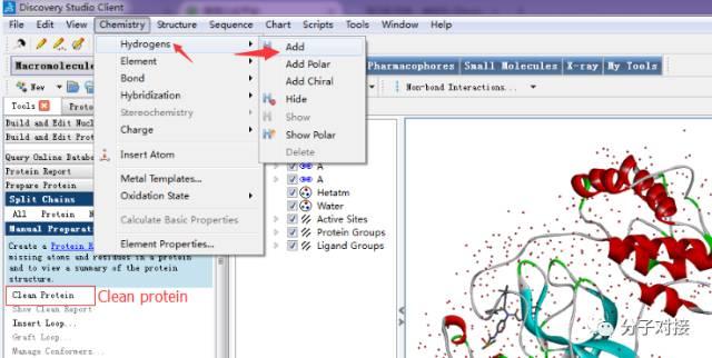 新手实现Autodock Vina对接的具体过程 - 知乎