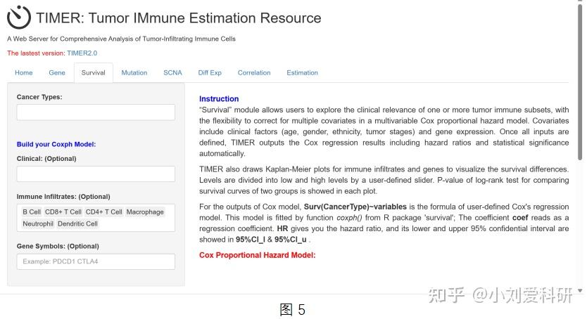 TIMER：一个可以进行肿瘤浸润免疫细胞分析的综合数据库 - 知乎