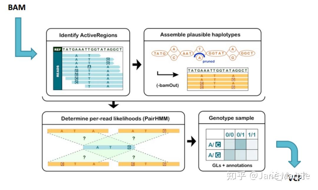 一文详解GATK-HaplotypeCaller 变异检测原理和实战 - 知乎
