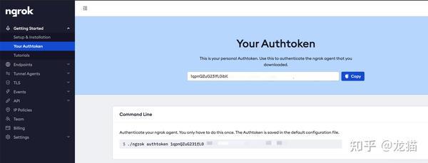 Mac上安装ngrok实现内网穿透 - 知乎