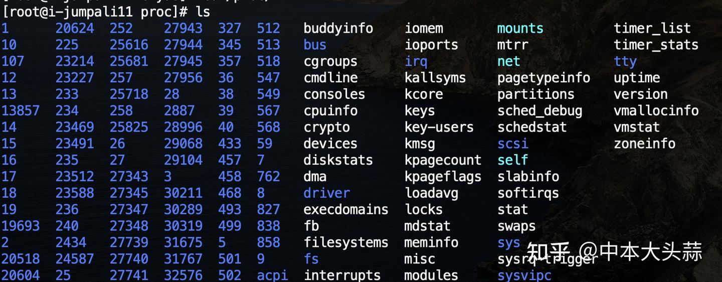 Linux procfs内容大汇总（1） - 知乎