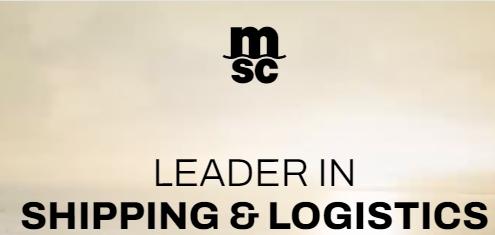 创建MSC CODE - 知乎