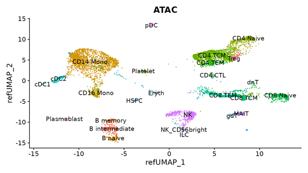 🤩 Seurat V5 | 最火的单细胞测序分析工具重磅更新啦！~ - 知乎