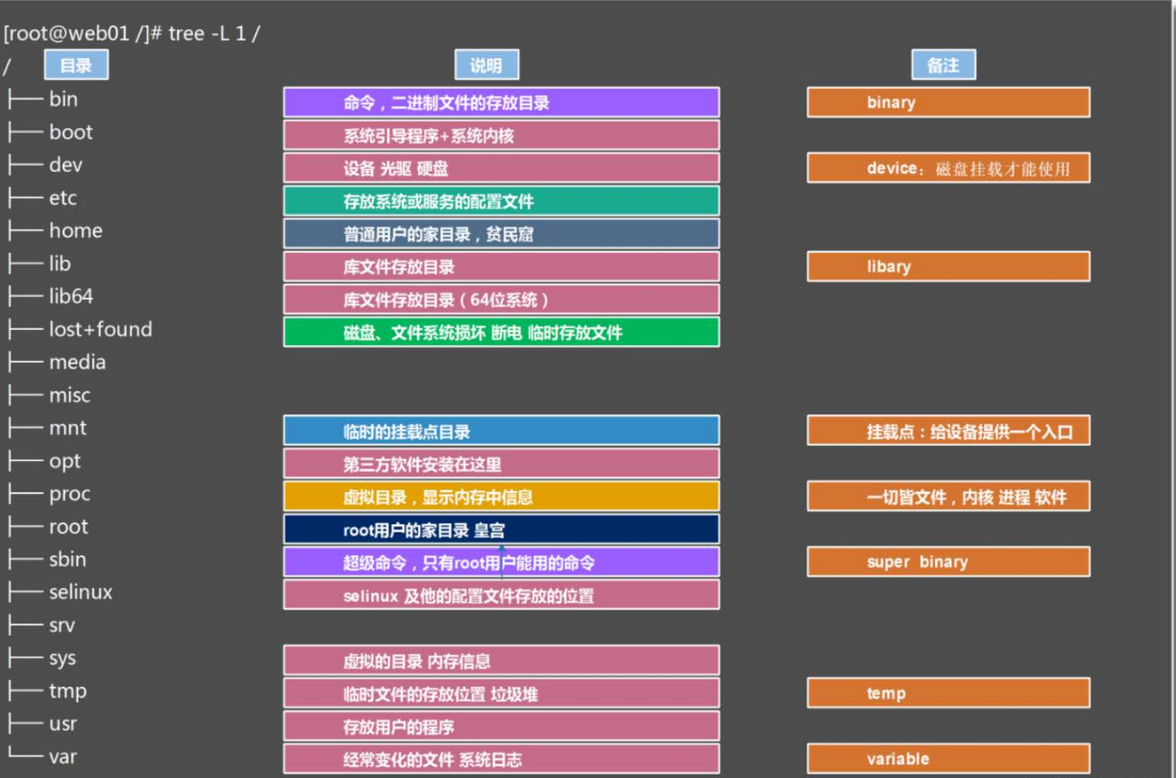 嵌入式保姆级教程-一文讲解出Linux的文件目录结构 - 知乎