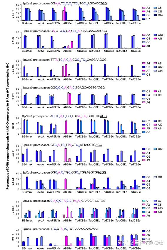 基于TadA-8e的CBE工具开发 - 知乎