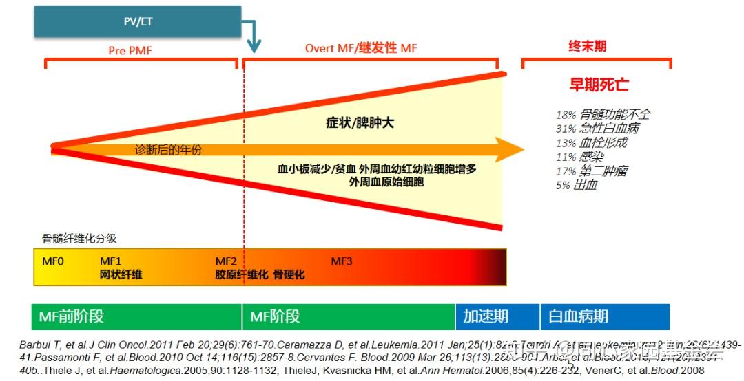 专家讲座 | 骨髓增殖性肿瘤（MPN）的免疫微环境与长效干扰素的治疗机制 - 知乎