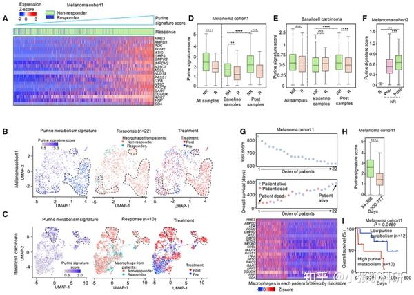 玩出了“新花样”的肿瘤相关巨噬细胞（TAMs）研究 - 知乎