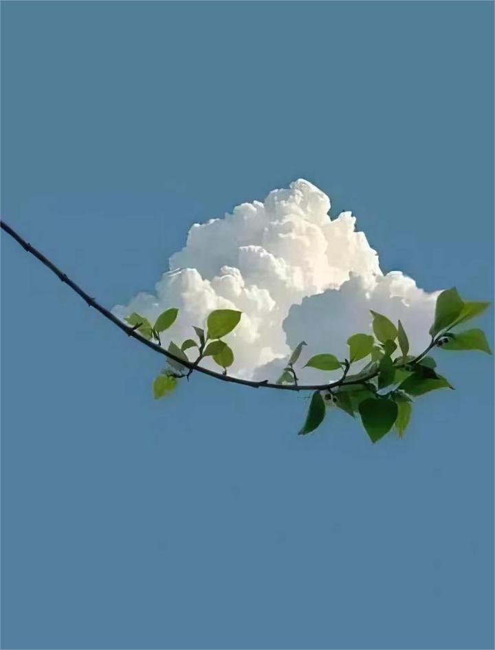 欧拉函数(Euler's totient function) 公式、积性 证明 - 知乎