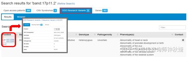 Decipher v9.26数据库使用方法 - 知乎