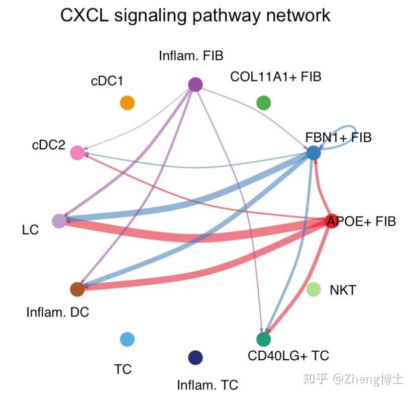 细胞通讯分析（单细胞测序）———CellChat（Homo、Mus） - 知乎