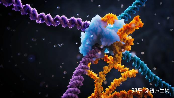 一文讲清RNA pull down 实验:原理，步骤，结果解读，应用 - 知乎