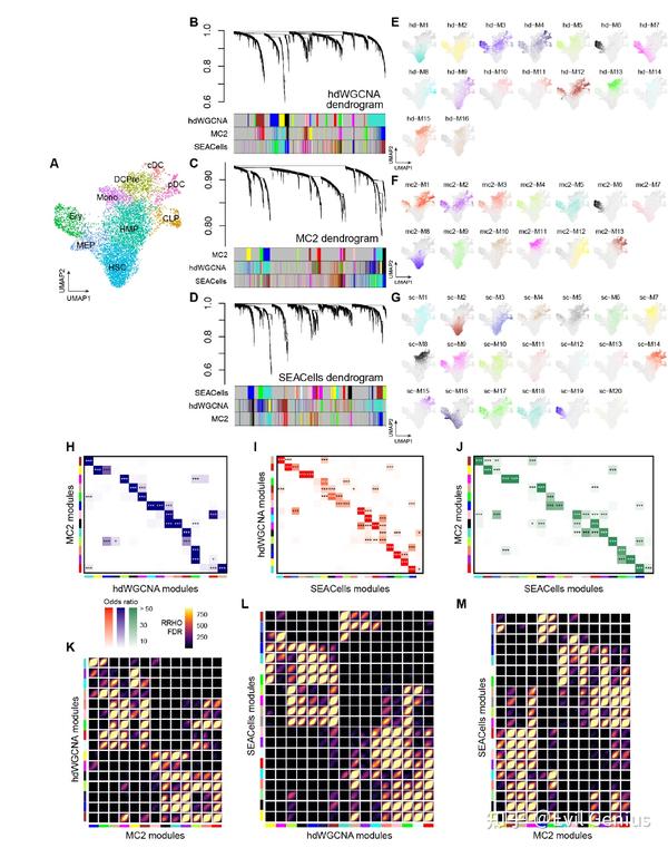 针对高维数据（10X单细胞空间）的共表达网络分析（hdWGCNA） - 知乎