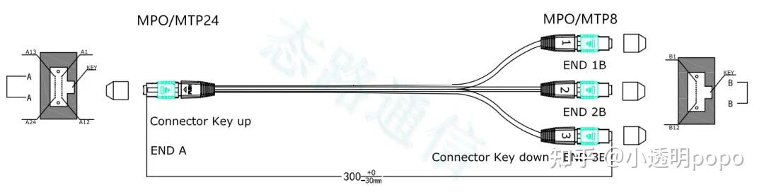 态路小课堂丨3种MPO/MTP光纤跳线介绍 - 知乎