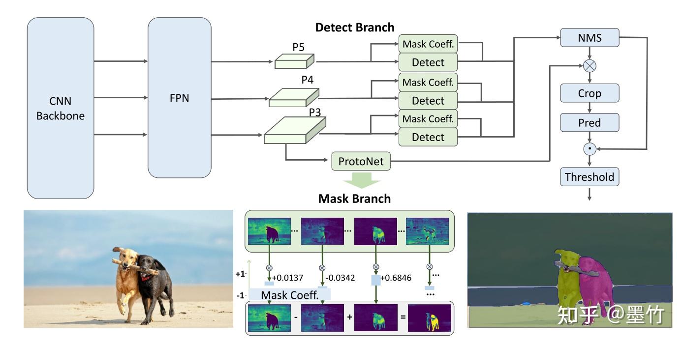 【Paper日记】FastSAM vs. MobileSAM vs. SAM - 知乎