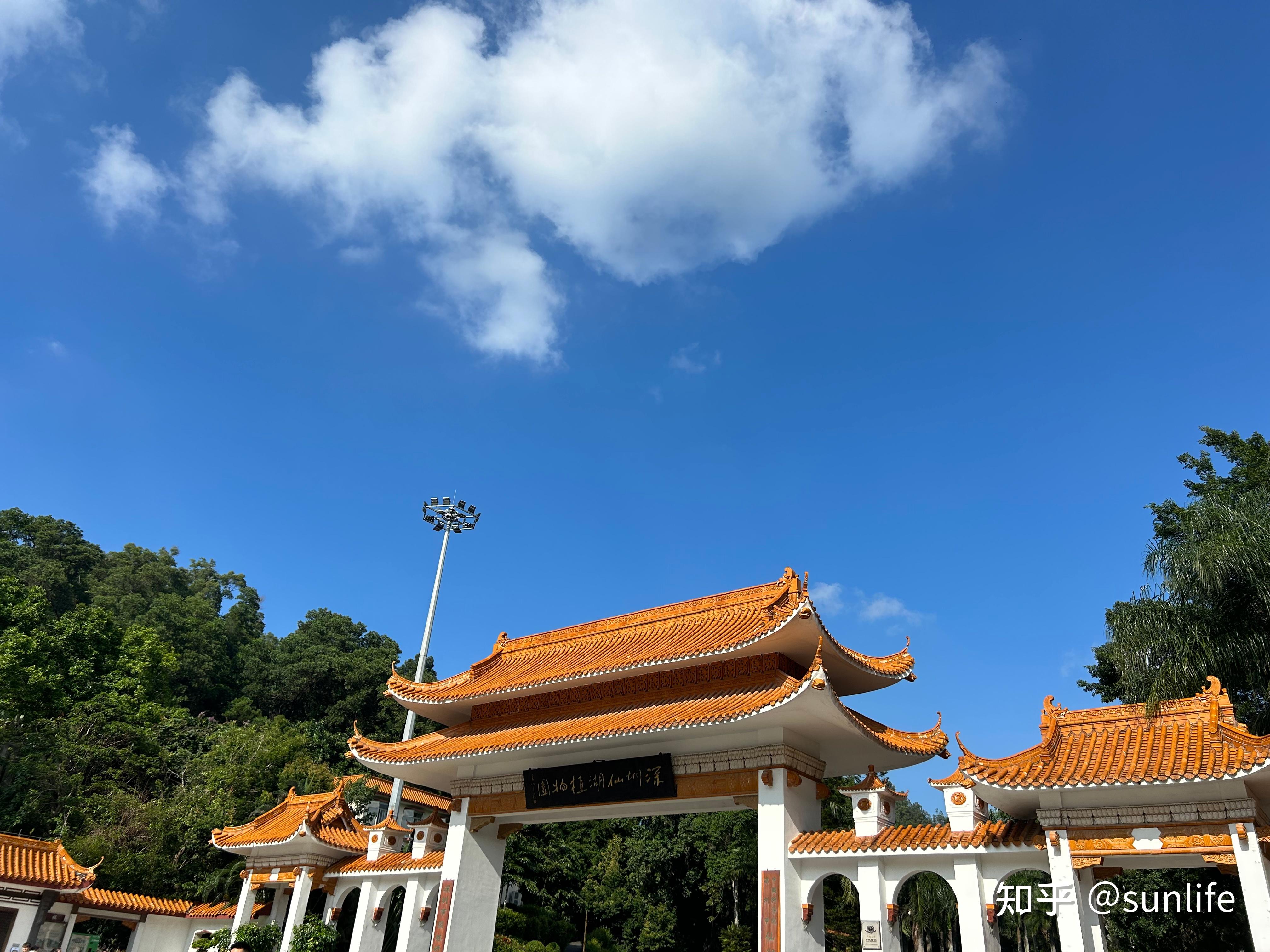 游记十四)——仙湖植物园 知乎