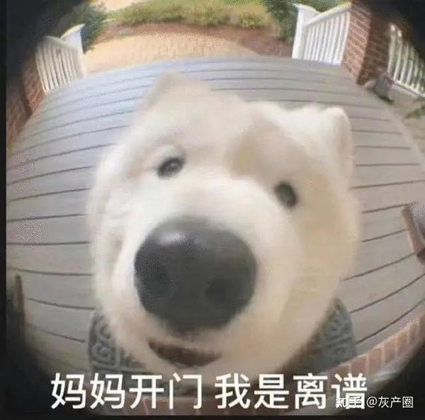 微博这个公告把大家最爱的谐音梗整没了? 知乎