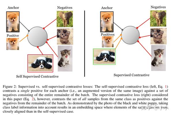 Contrast learning（五）Supervised Contrastive Learning - 知乎