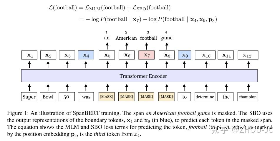 NLP系列之预训练模型（六）：SpanBERT/MPNet/MASS/BART - 知乎