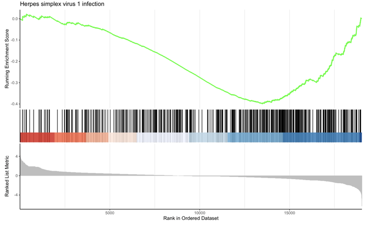 GSEA第2弹！如何解读GSEA富集结果 - 知乎