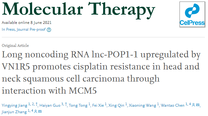 Mol Ther：张建军和陈万涛教授团队发现头颈鳞癌中顺铂耐药机制 - 知乎