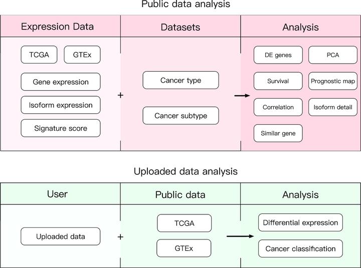 TCGA数据分析系列（二）：数据库之GEPIA2 - 知乎