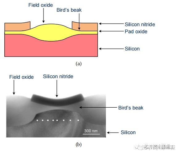 硅的局部氧化-LOCOS-鸟嘴效应 - 知乎