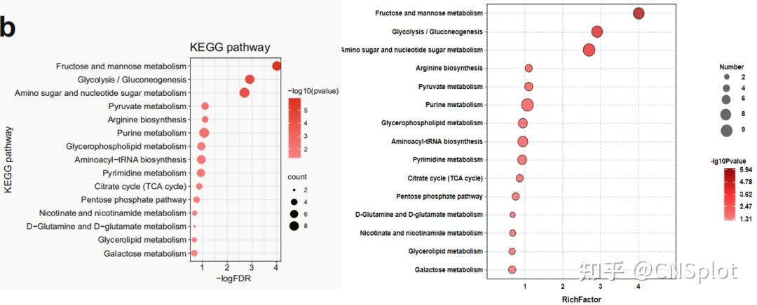 TBtools可以做kegg富集气泡图嘛？ - 知乎