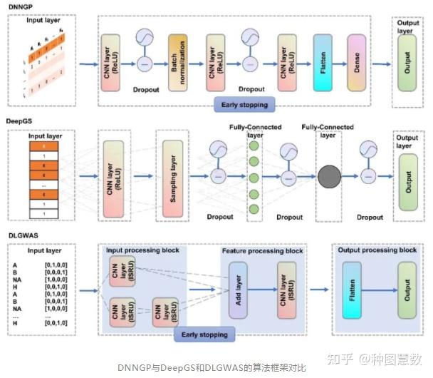 【种图家 植物育种】基于深度学习的全基因组选择新方法 知乎