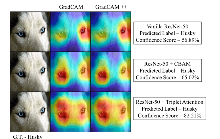 《convolutional Triplet Attention Module》解读（附源码） 知乎