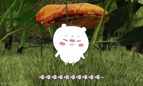 灵感菇gif - 知乎
