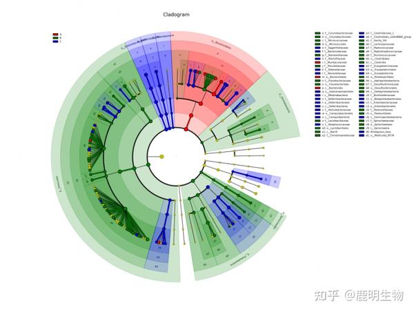 探“云”指南：免费快捷LEfSe在线分析小工具操作指南！ - 知乎