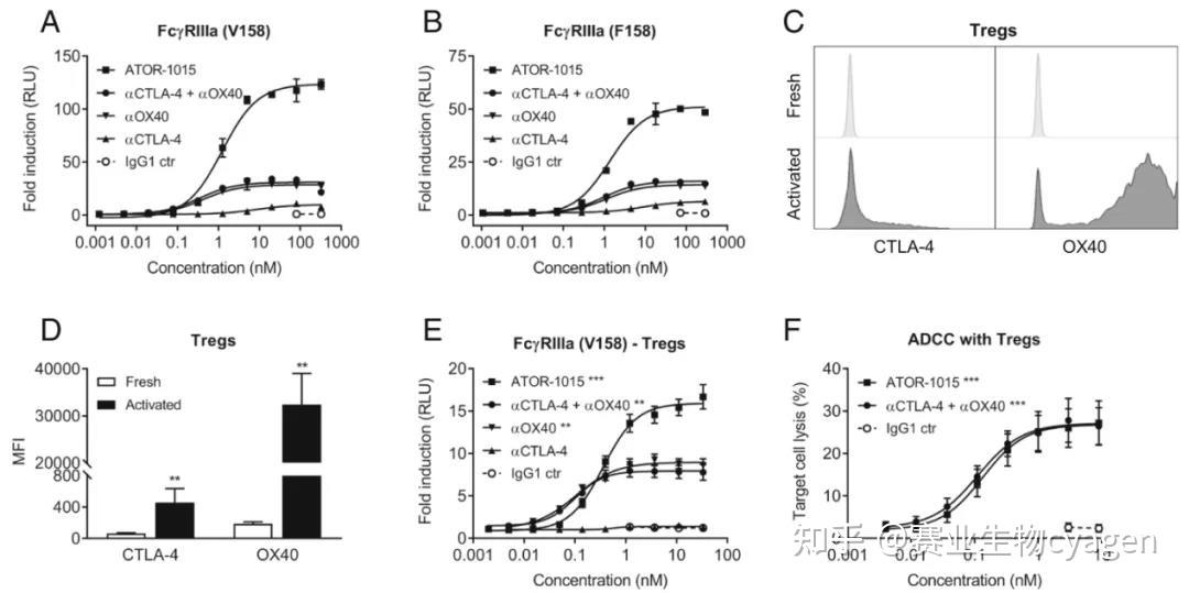 怎样才能让免疫药物更好用？CTLA-4/OX40双特异性抗体ATOR-1015的临床前数据详解 - 知乎