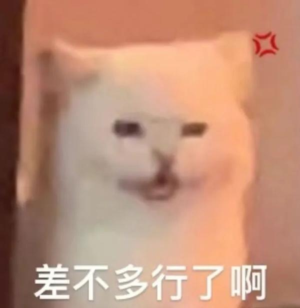 一些精选收藏的表情包 ૮ ´͈ ᗜ `͈ ა♡ 知乎