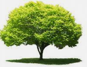 运筹优化求解器（CPLEX vs Gurobi vs ... ） - 知乎