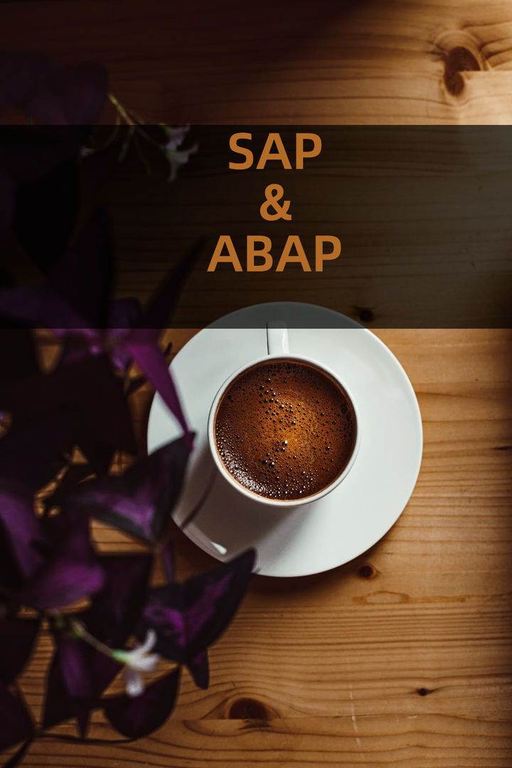 SAP ABAP 18（中日版）RANGE TABLE - 知乎