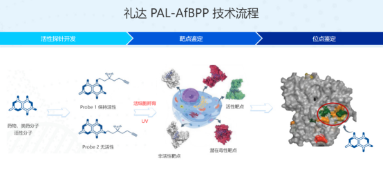 专访礼达先导丨获中科院院士加盟，带动化学蛋白质组学技术落地本土，将通过自动化、智能化平台破解「难成药」靶点发现难题 - 知乎