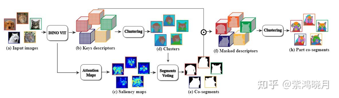 Deep ViT Features as Dense Visual Descriptors - 知乎