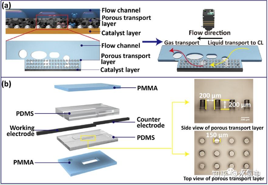 重大JPS：PEMWE阳极PTL气泡动态行为 - 知乎