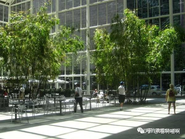 那些超越时代的设计师们（7）|Robert Zion 与 Zion & Breen 与 口袋花园们 - 知乎