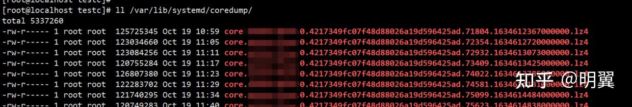 core文件去哪里了 - 知乎