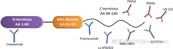 ACRO解读神经退行性疾病治疗曙光，α-Syn与Tau的联合之路 - 知乎