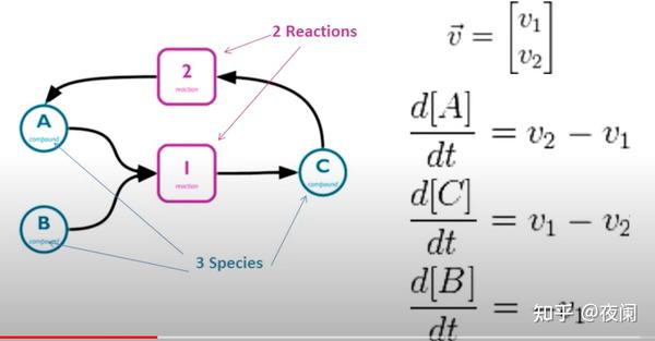 流平衡分析（flux balance analysis） - 知乎