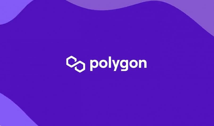 Polygon DAO 推出 Polygon Village：网络扩展解决方案套件 - 知乎