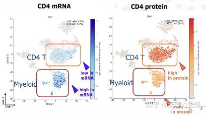 颠覆常识：CD4基因竟然在单核细胞（Monocyte）中高表达？ - 知乎