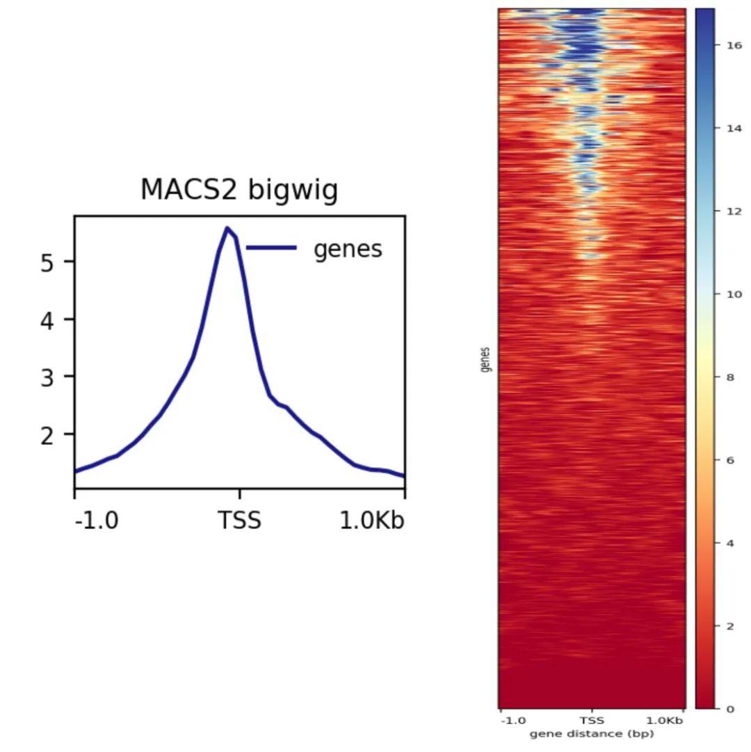 一文详解ATAC-seq原理+读图：表观遗传的秀儿 - 知乎