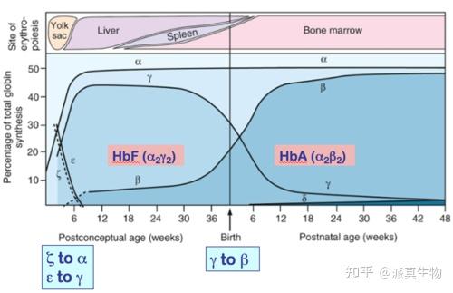 全球首款CRISPR基因治疗药物Exa-cel 直面FDA咨询委员会 - 知乎