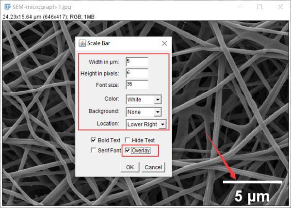 科研技巧 | 使用ImageJ快速给图像加标尺！ - 知乎