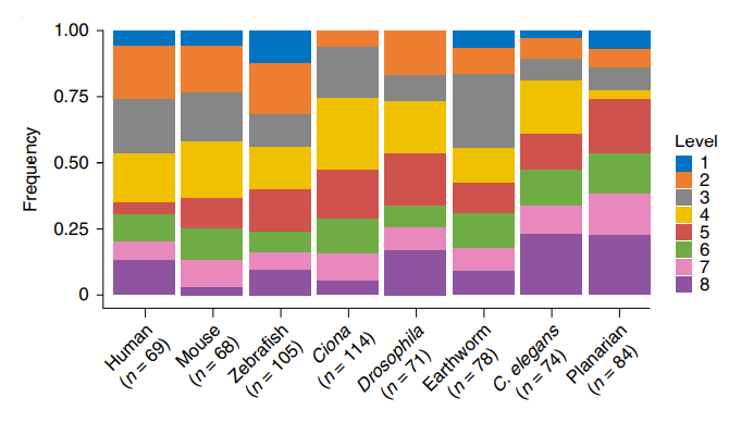 Nature Genetics | 基于人工智能神经网络的基因组解读系统Nvwa并揭示细胞命运决定共性规律 - 知乎